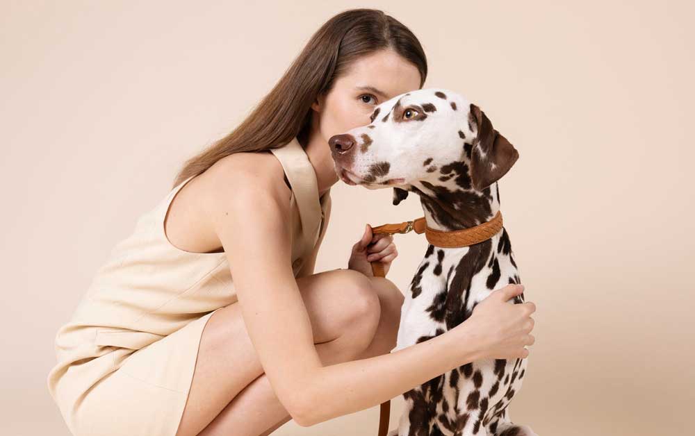 Product Information Deer Chips